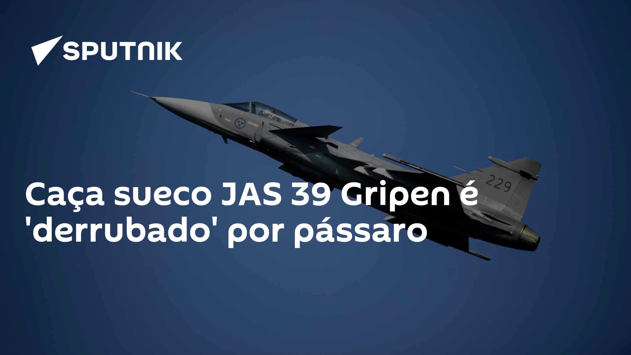 Caça sueco JAS 39 Gripen é 'derrubado' por pássaro - 21.08.2018 ...
