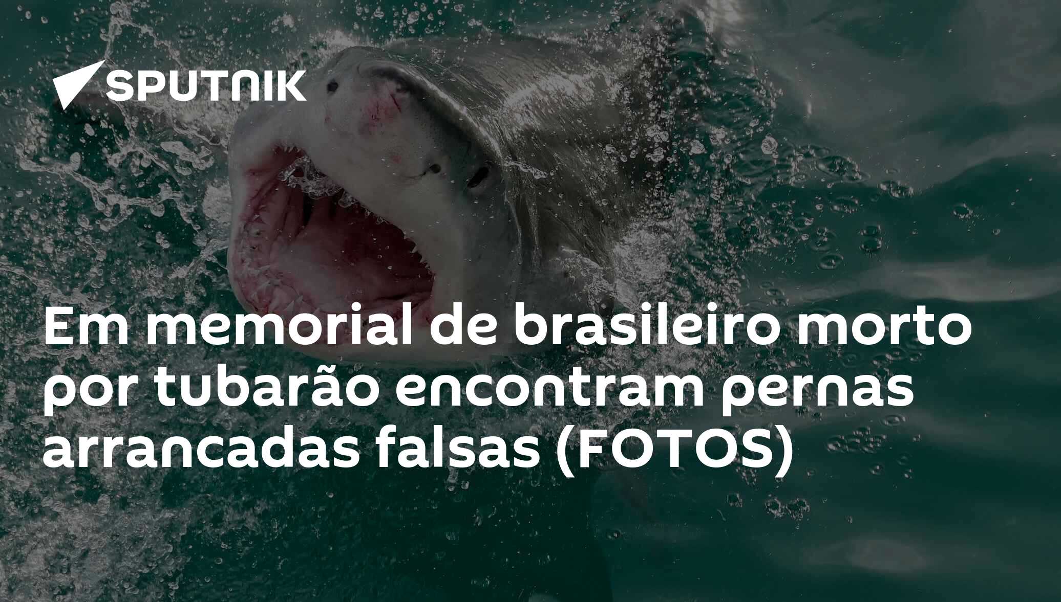 Em memorial de brasileiro morto por tubarão encontram pernas arrancadas ...