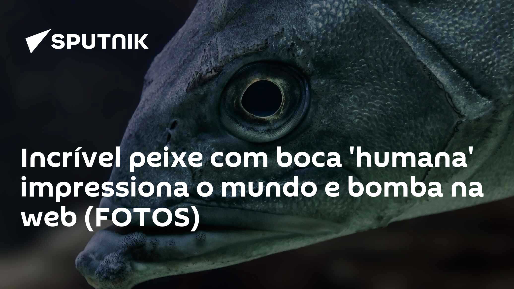 Incrível peixe com boca 'humana' impressiona o mundo e bomba na web ...