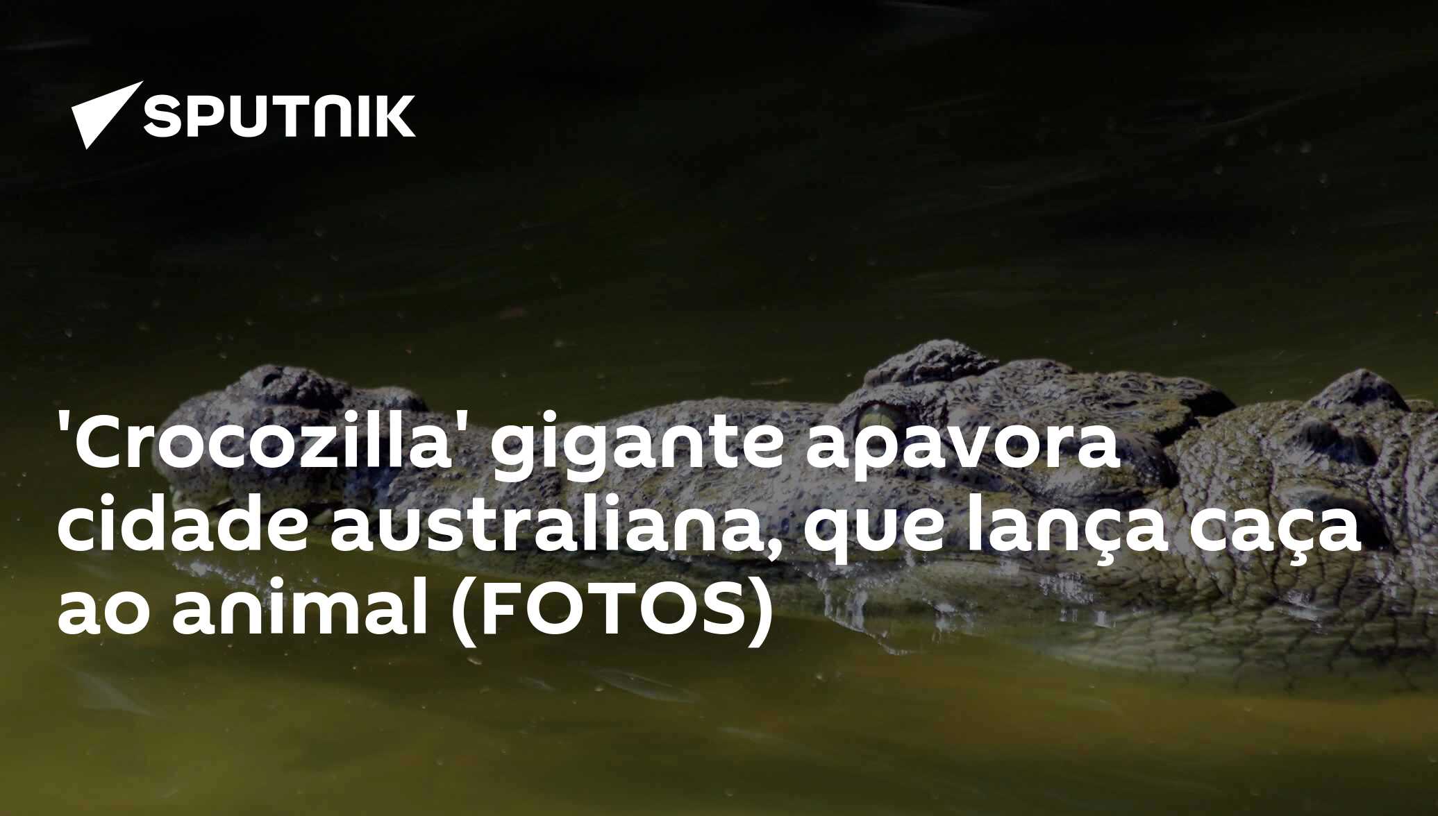 'Crocozilla' gigante apavora cidade australiana, que lança caça ao ...