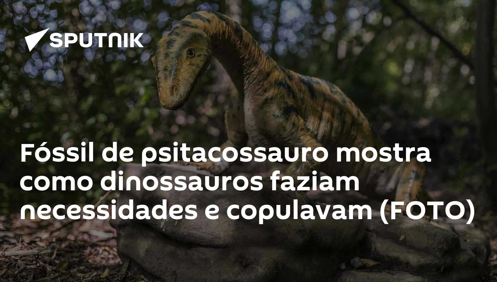 Fóssil de psitacossauro mostra como dinossauros faziam necessidades e ...