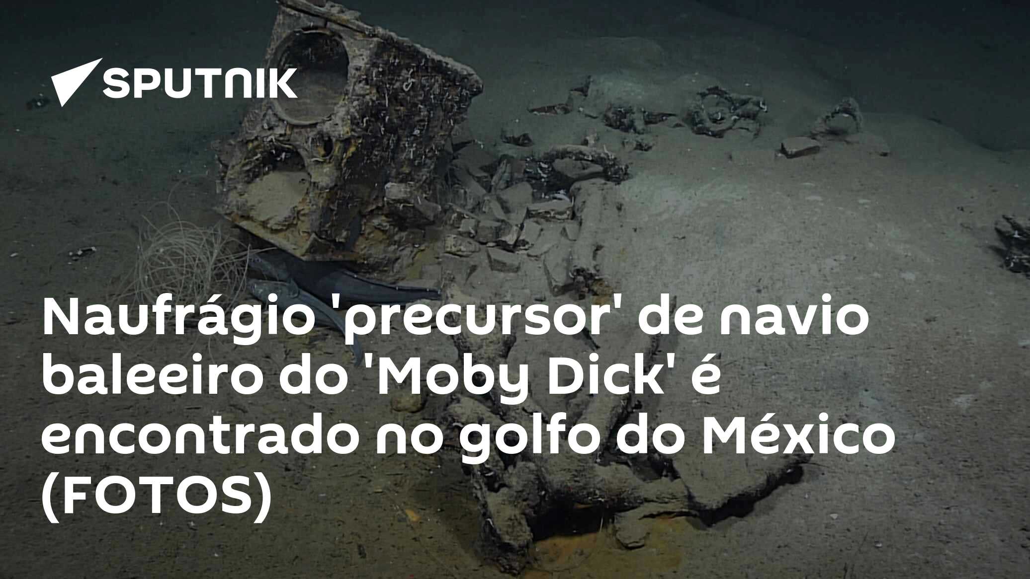 Naufrágio 'precursor' de navio baleeiro do 'Moby Dick' é encontrado no ...