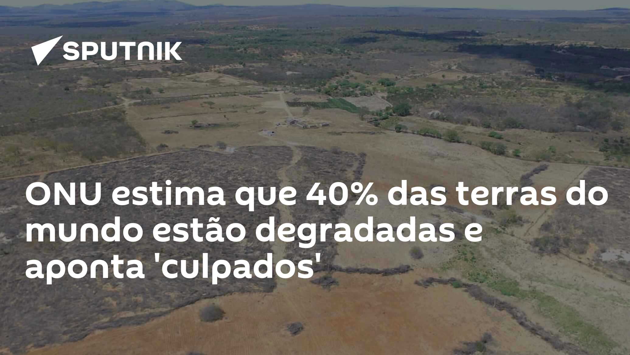 ONU estima que 40% das terras do mundo estão degradadas e aponta ...