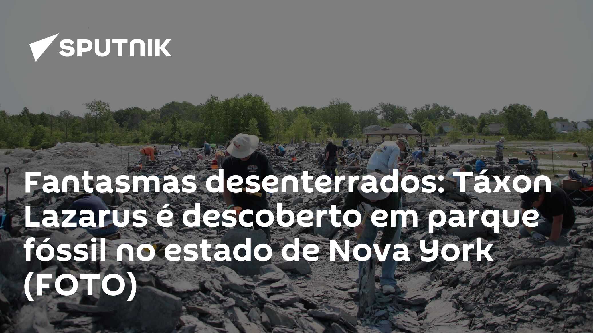 Fantasmas desenterrados: Táxon Lazarus é descoberto em parque fóssil no ...