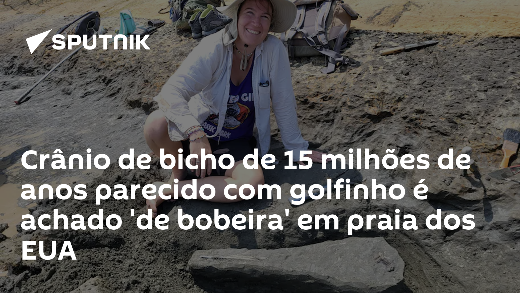 Crânio de bicho de 15 milhões de anos parecido com golfinho é achado ...
