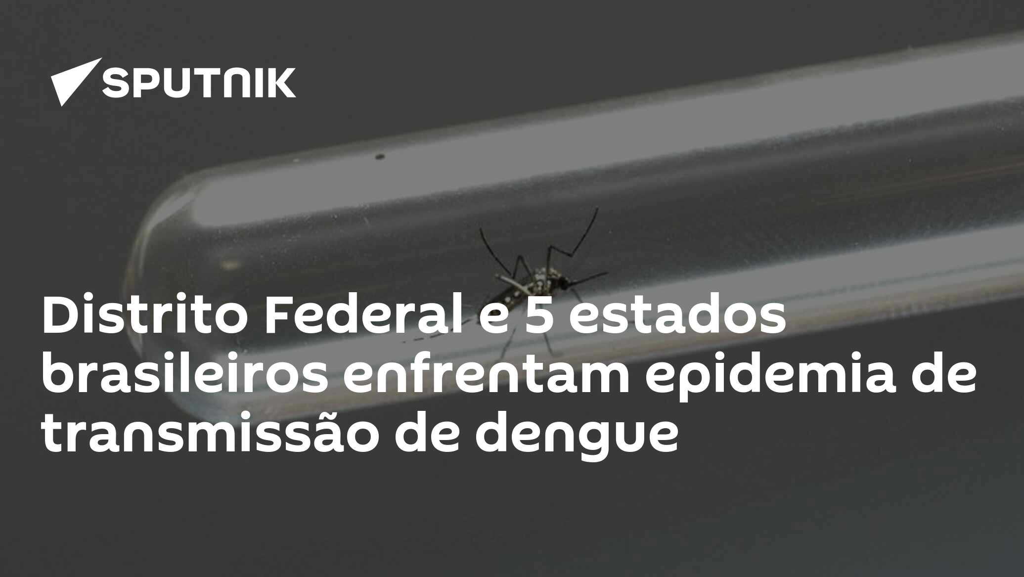 Distrito Federal e 5 estados brasileiros enfrentam epidemia de transmissão de dengue - 15.02. ...