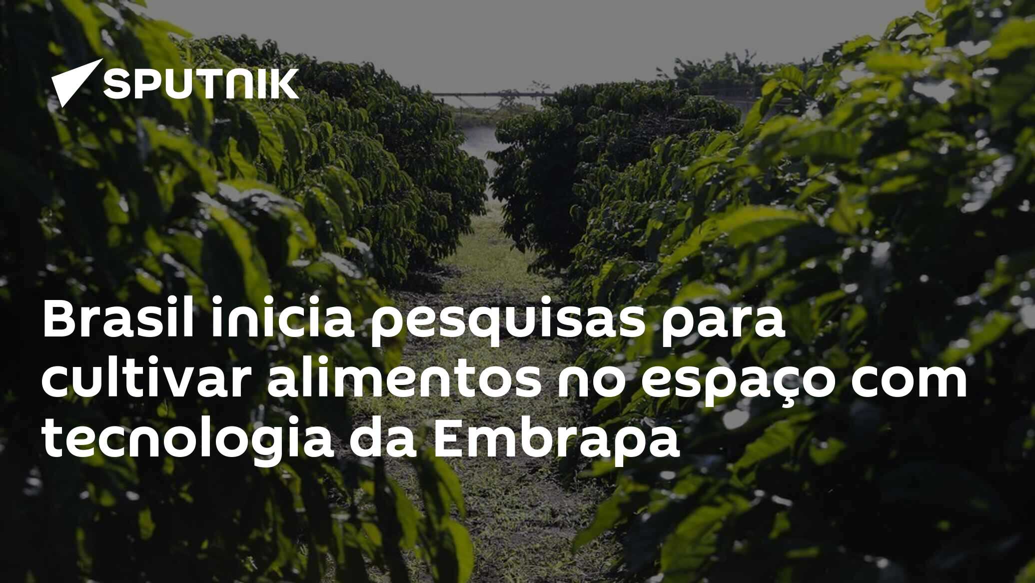 Brasil inicia pesquisas para cultivar alimentos no espaço com ...