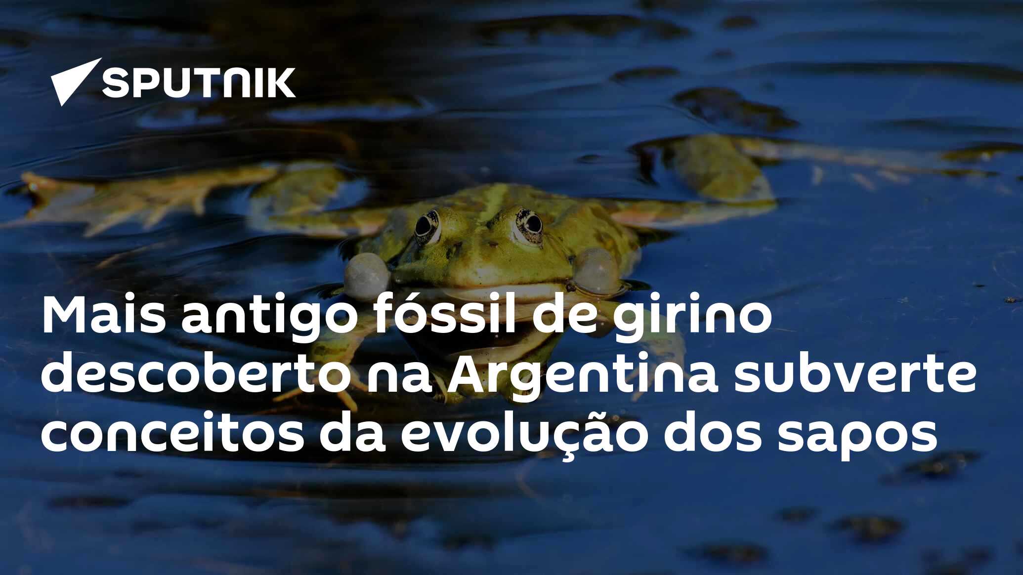 Mais antigo fóssil de girino descoberto na Argentina subverte conceitos ...