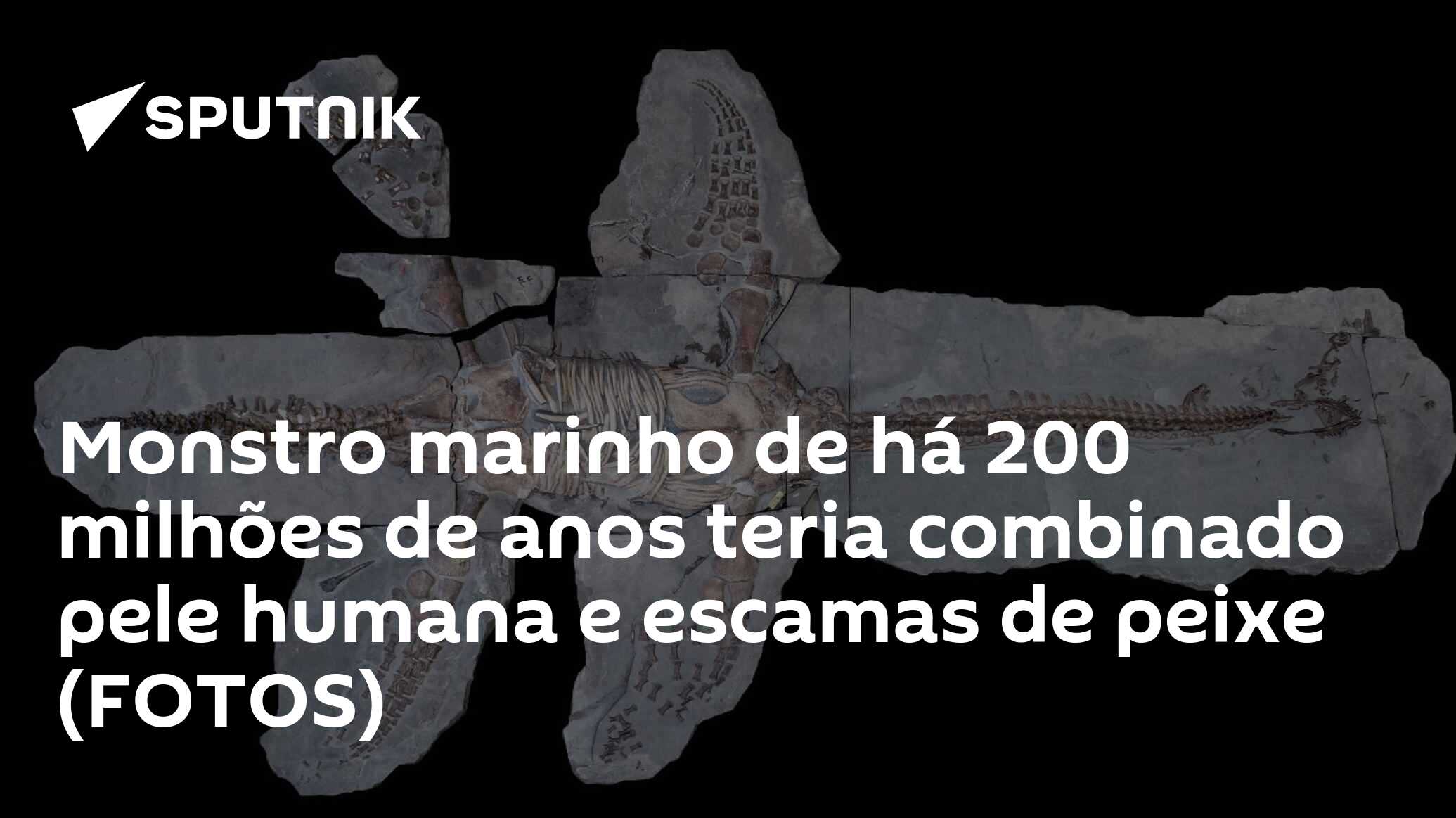 Monstro marinho de há 200 milhões de anos teria combinado pele humana e ...