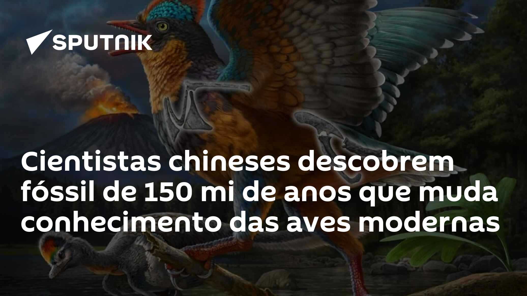 Cientistas chineses descobrem fóssil de 150 mi de anos que muda ...