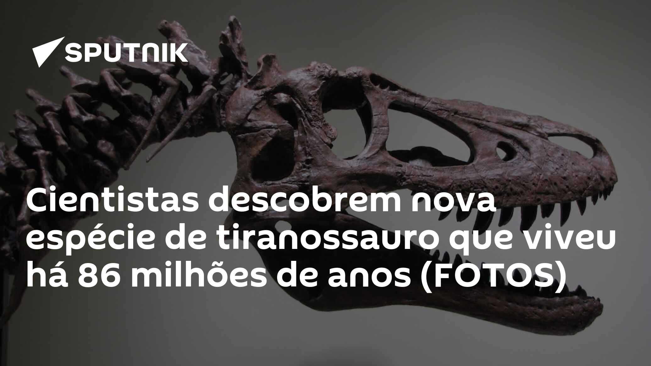 Cientistas descobrem nova espécie de tiranossauro que viveu há 86 ...
