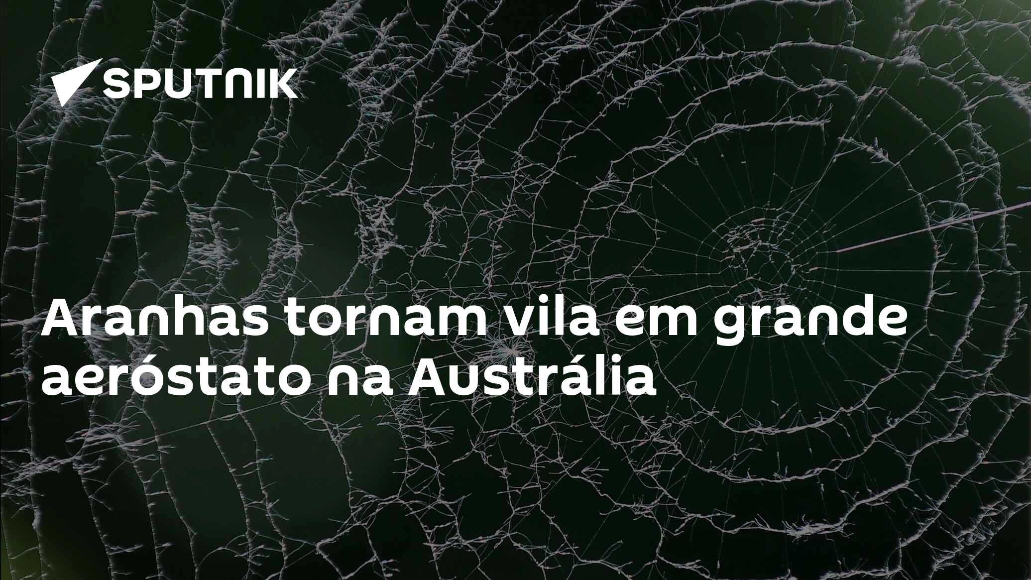 Aranhas tornam vila em grande aeróstato na Austrália - 09.06.2016 ...